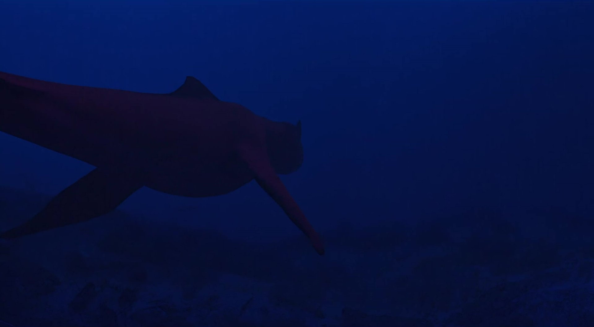 The Sea Beast (2022) - Animation Screencaps.com