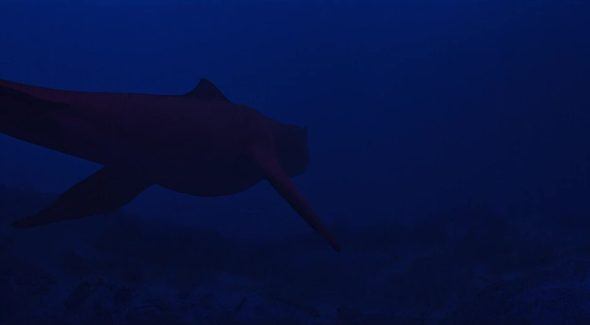 The Sea Beast (2022) - Animation Screencaps.com