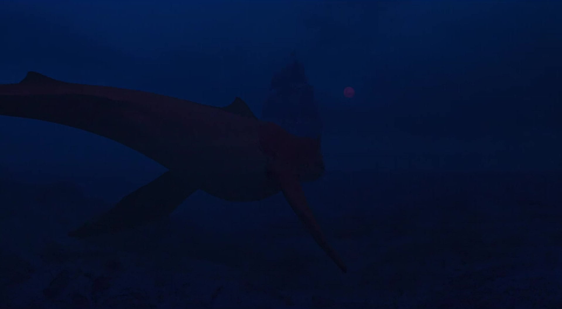 The Sea Beast (2022) - Animation Screencaps.com